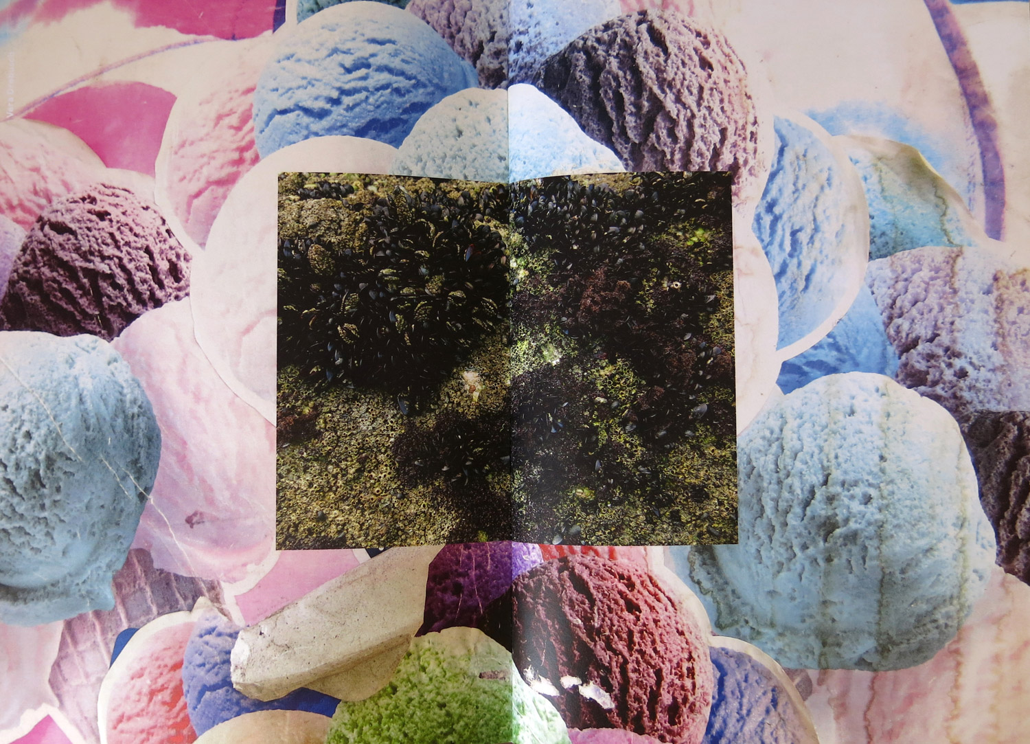 Kurzinterview 11 – Vera Drebusch - dieMotive